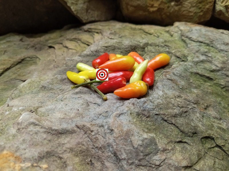 Little Elf Pepper-Bounty Hunter Seeds-Rare Heirloom Peppers