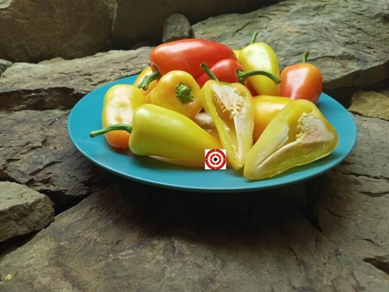 Mariachi F2 Pepper-Bounty Hunter Seeds-Heirloom Pepper Seeds