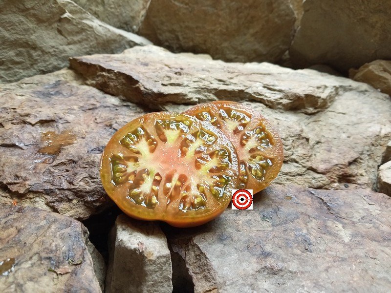 Marizol Maroon Tomato-Bounty Hunter Seeds-Heirloom Tomatoes