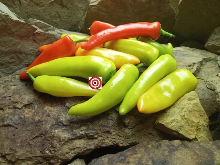 Hungarian Hot Wax Pepper-Bounty Hunter Seeds-Heirloom Seeds