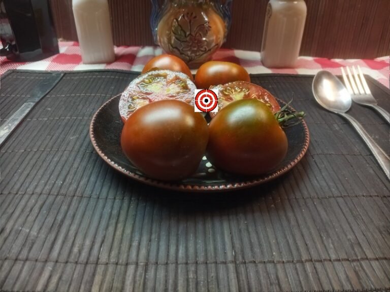 Oziris Tomato-Bounty Hunter Seeds-Rare Heirloom Tomato Seeds