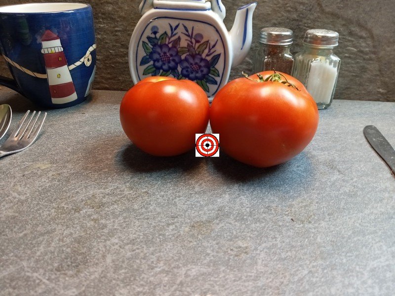 R.G. Tomato -Bounty Hunter Seeds-Rare Heirloom Tomato Seeds