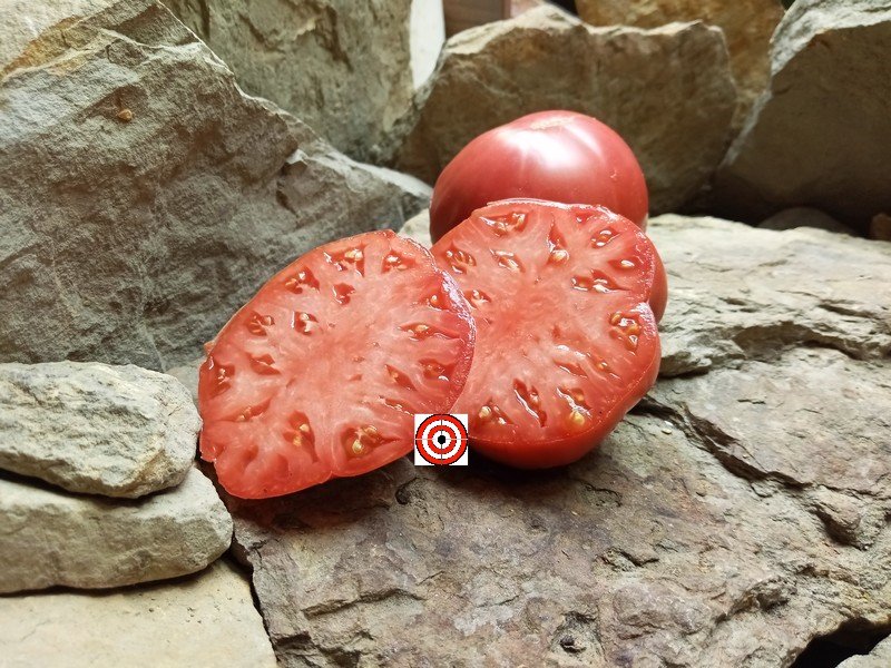 Turkey Tomato-Bounty Hunter Seeds-Rare Heirloom Tomato Seeds