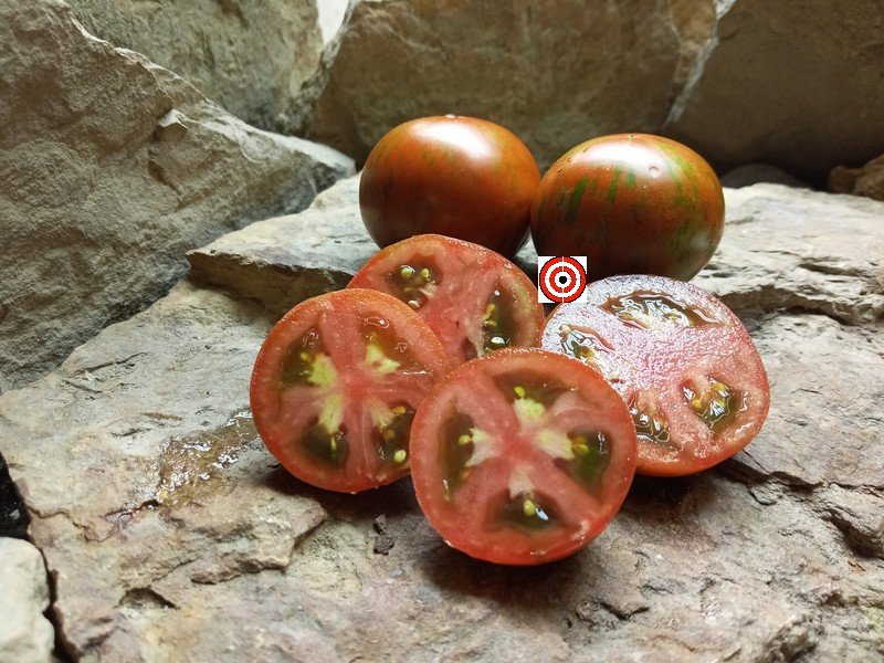 Sarandipty Dwarf Tomato-Bounty Hunter Seeds-Heirloom Seeds