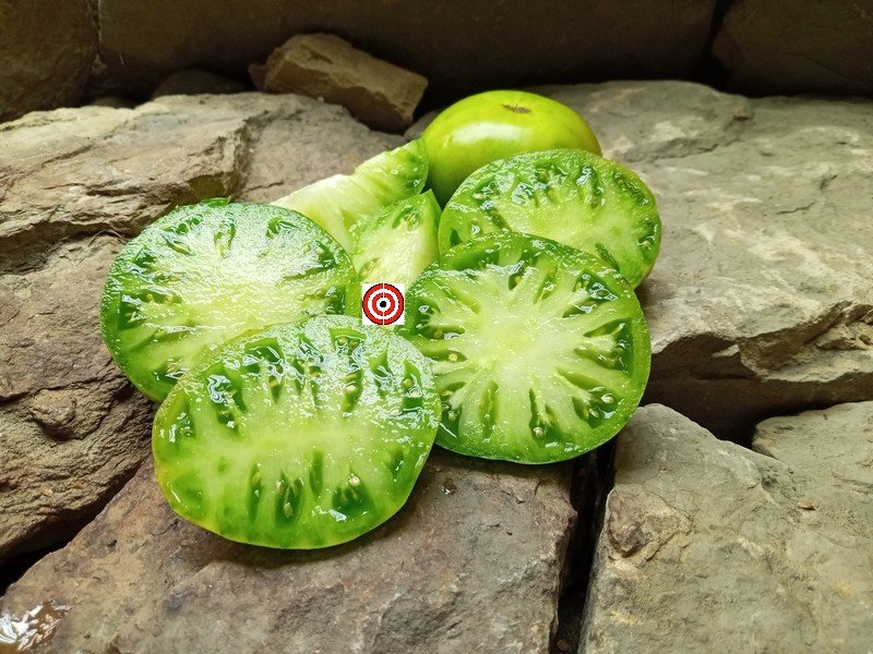 Spear's Tennessee Green Tomato-Bounty Hunter Seeds-Heirlooms