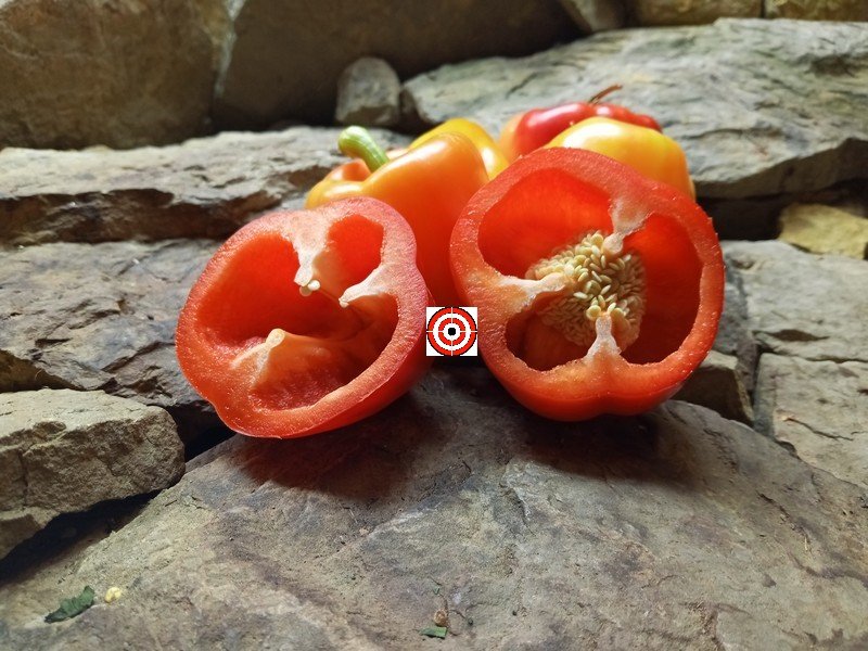 Sweet Block Pepper-Bounty Hunter Seeds-Heirloom Pepper Seeds