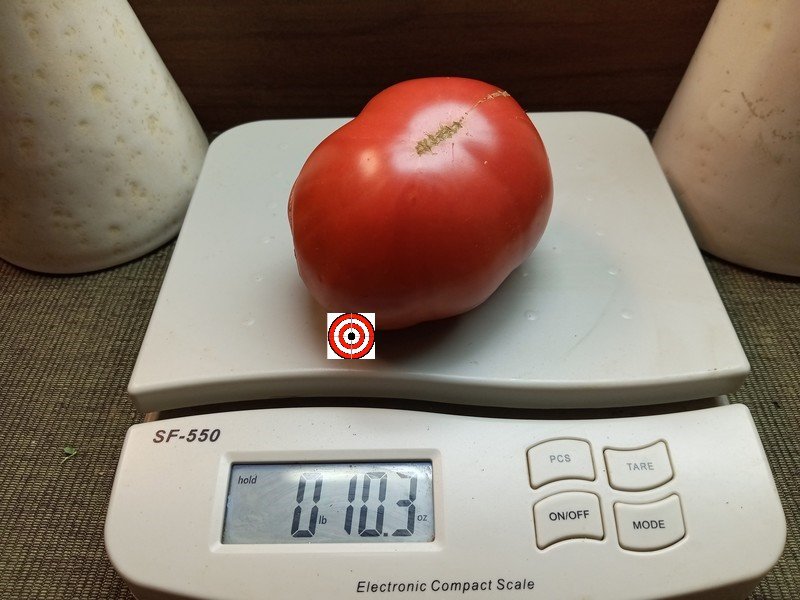 Turkey Tomato-Bounty Hunter Seeds-Rare Heirloom Tomato Seeds