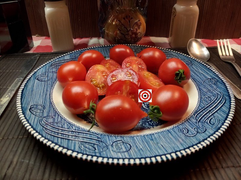 Heirloom Tomato Pictures 6 - Bounty Hunter Seeds - Rare Seeds