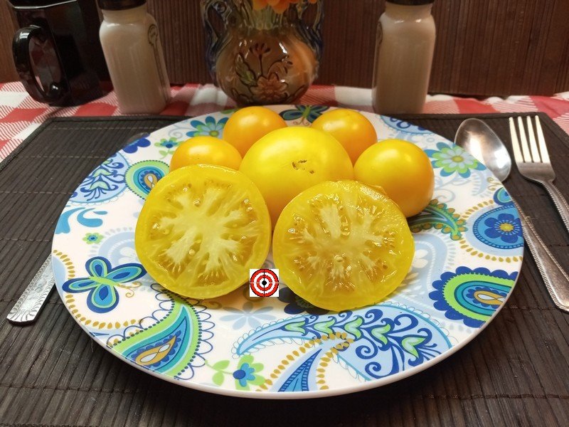 Heirloom Tomato Pictures 7 by Bounty Hunter Seeds