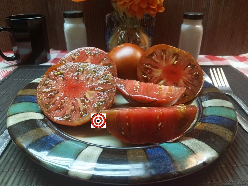 Heirloom Tomato Pictures 7 by Bounty Hunter Seeds