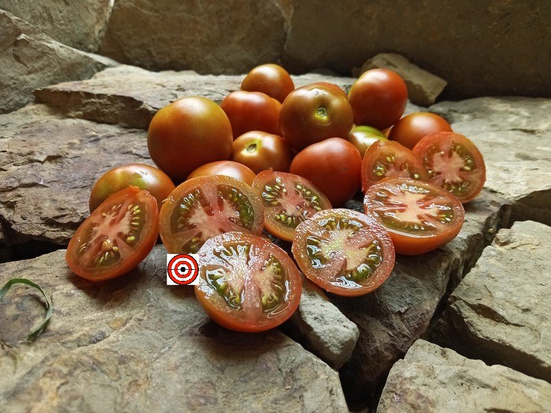 Dwarf Tomatoes Bundaberg Rumball Dwarf Tomato Seeds Available Here. - Bounty Hunter Seeds - Rare ...